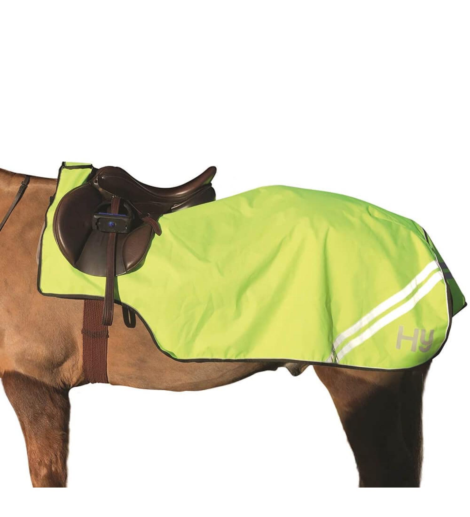 Cutaway Saddle Exercise Sheet Y-H HyVIZ Reflective Exercise Sheet For ...