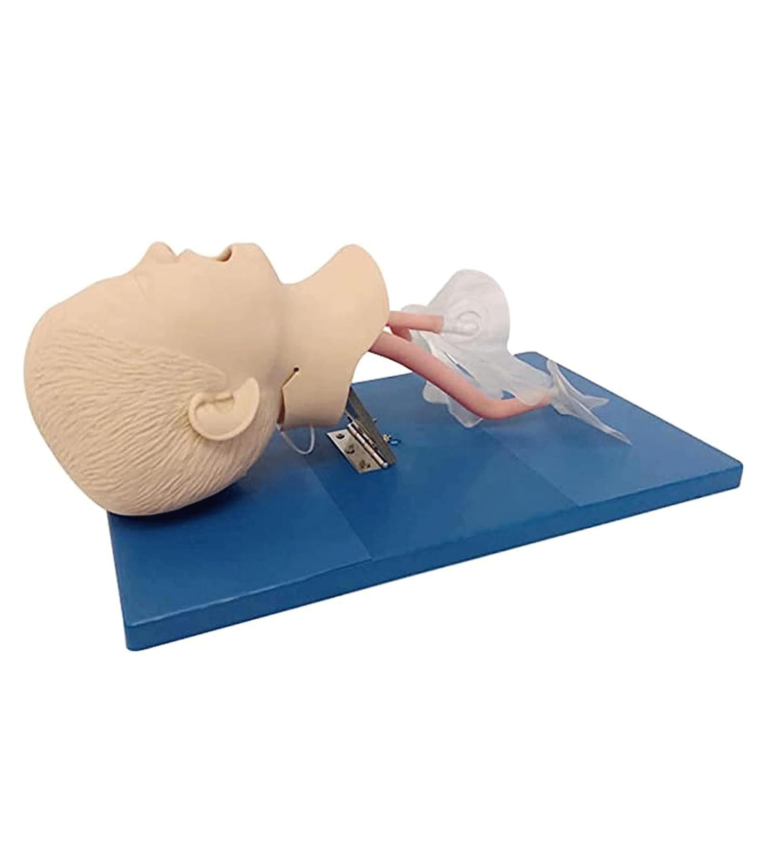 Neonatal oronasal Intubation Model Airway Management Trainer PVC Demo ...